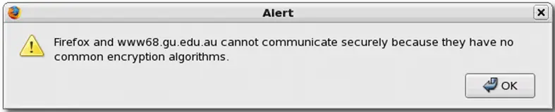 Firefox Cannot Communicate Securely Error Occurred
